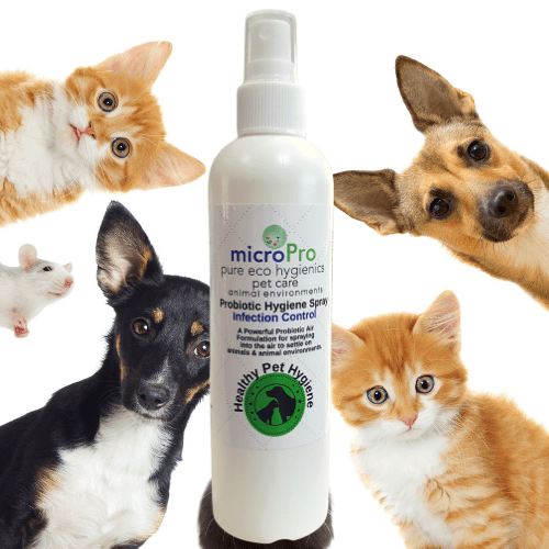 Probiotic Pet Hygiene Spray | microPro SA