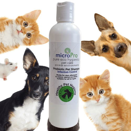 Probiotic Pet Shampoo | microPro SA