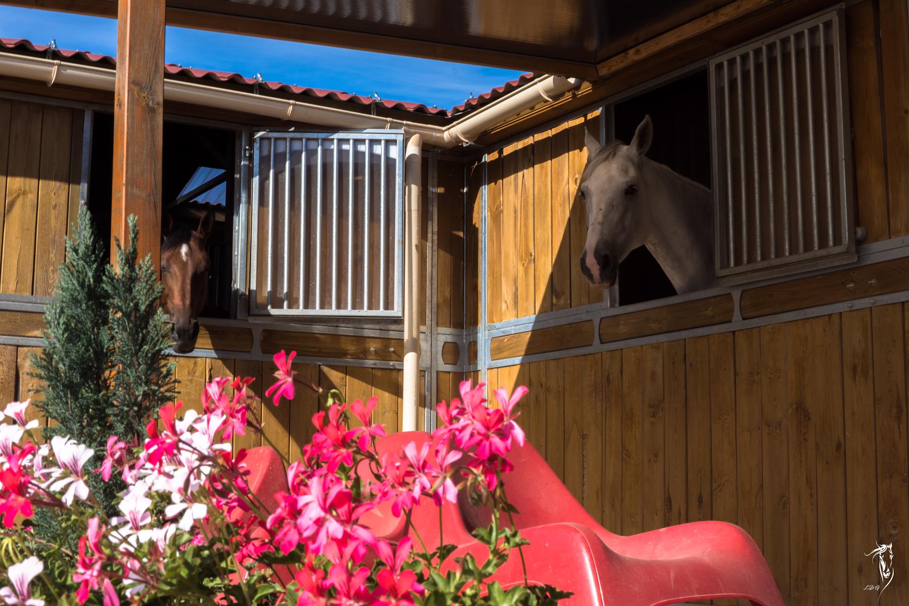 Ecurie De Fleurey | Installations