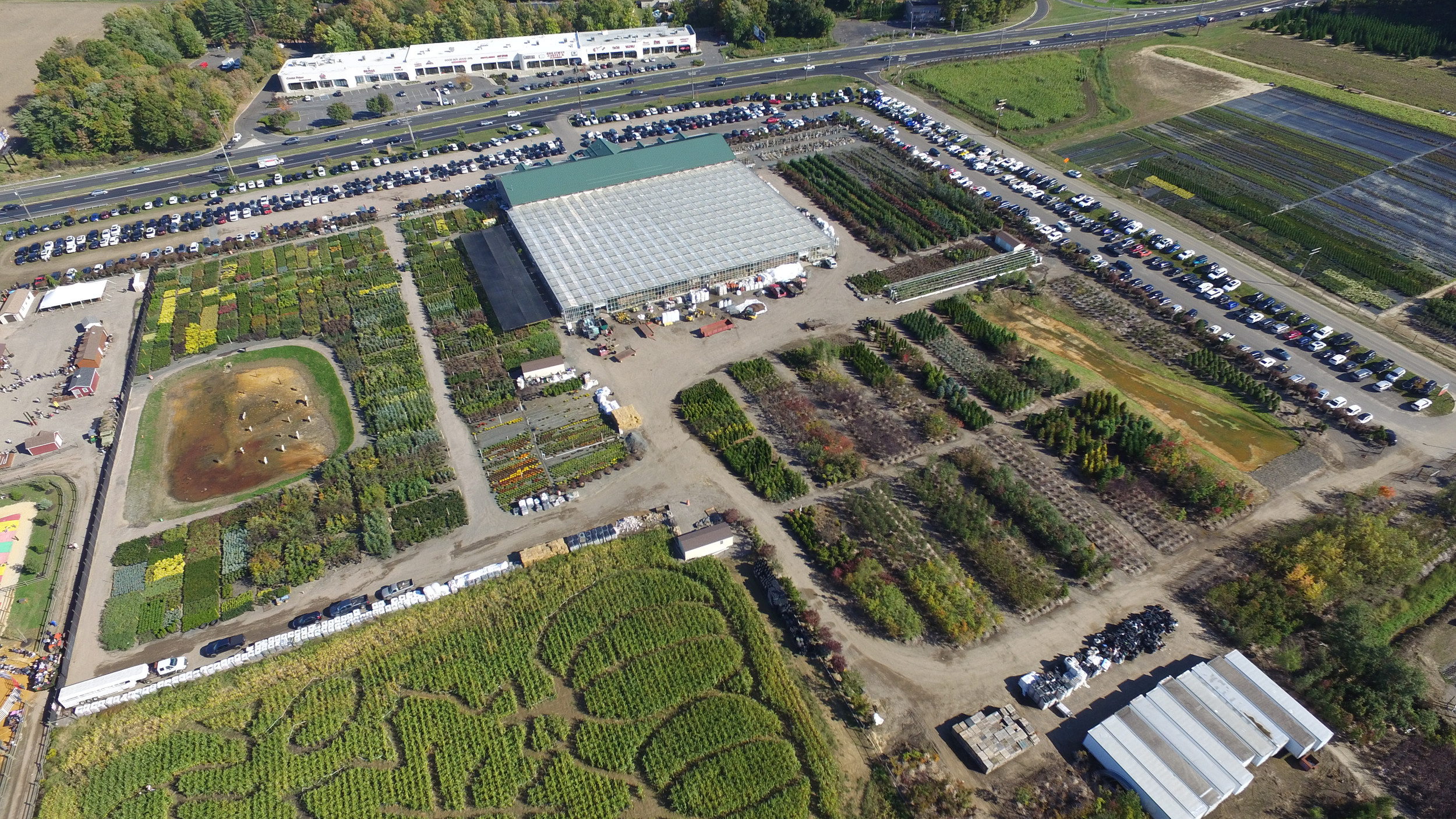 Top 10 Reasons Maple Leaf Farms Is One of NJ’s Most Beloved Garden Centers