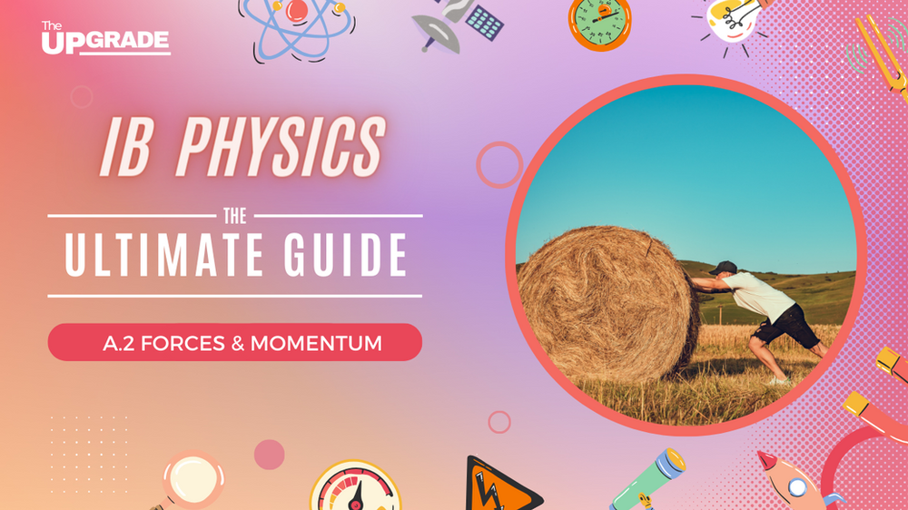 Forces & Momentum Course | The UpGrade Institute