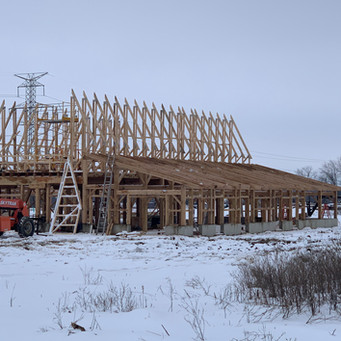 Critter Barn | New Farm