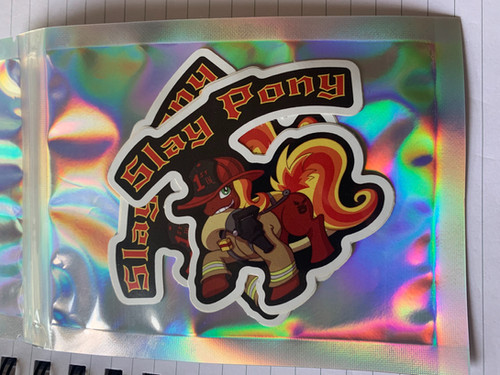 Slay Pony | 1st In Prints