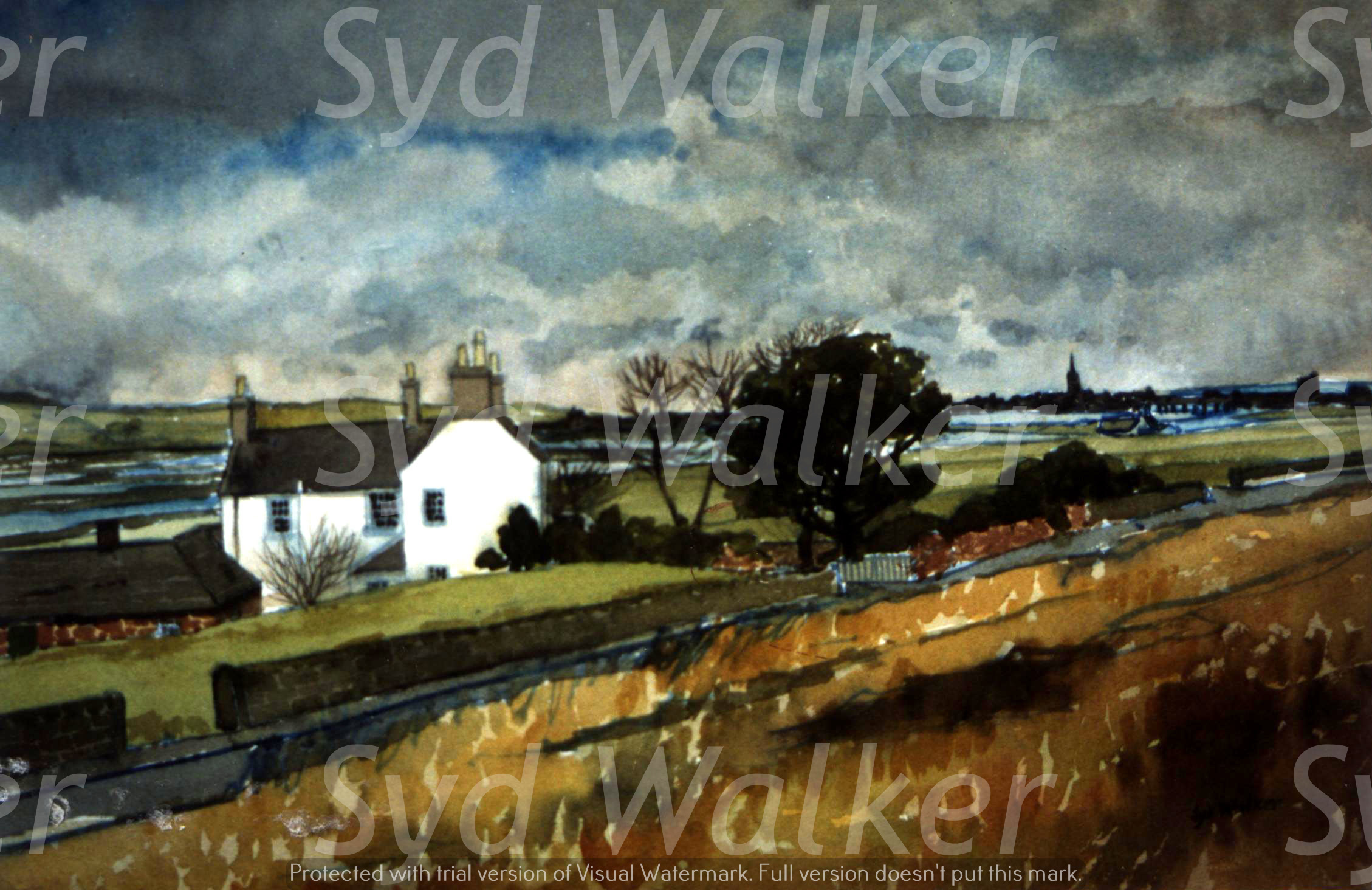 RETROSPECTIVE | mysite