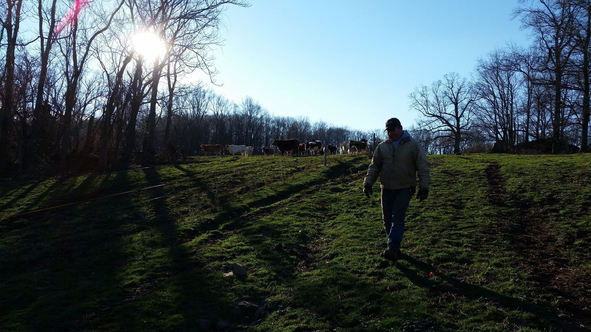 Higgins Farm | Middletown, CT ... Beef, Rodeo, Boarding
