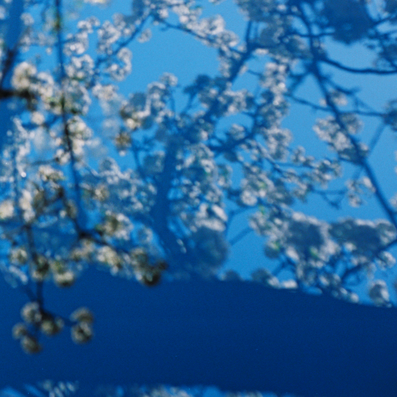 Fumo Blu