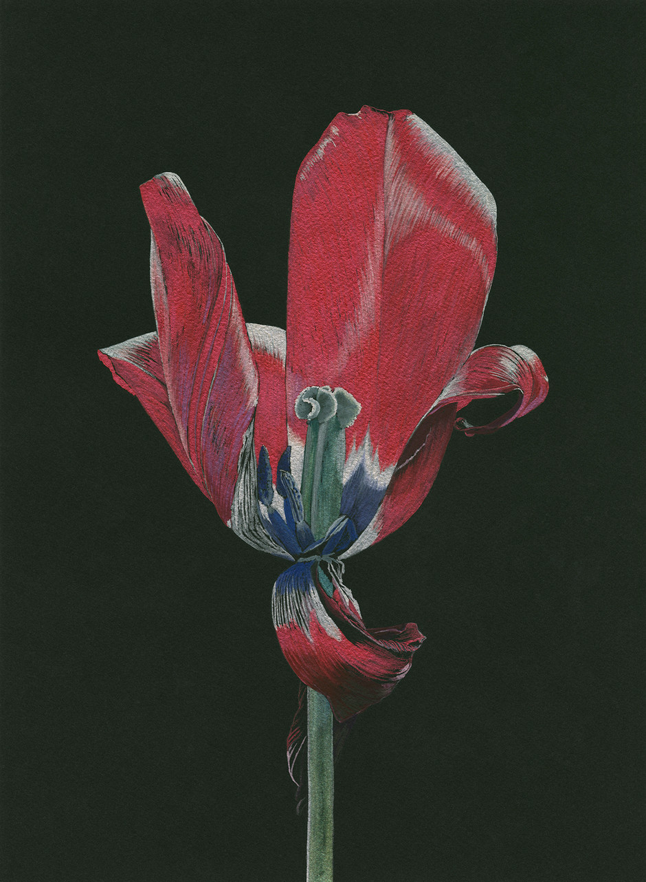 ANNE SKOLE OVERGAARD | Gallery Hjorth