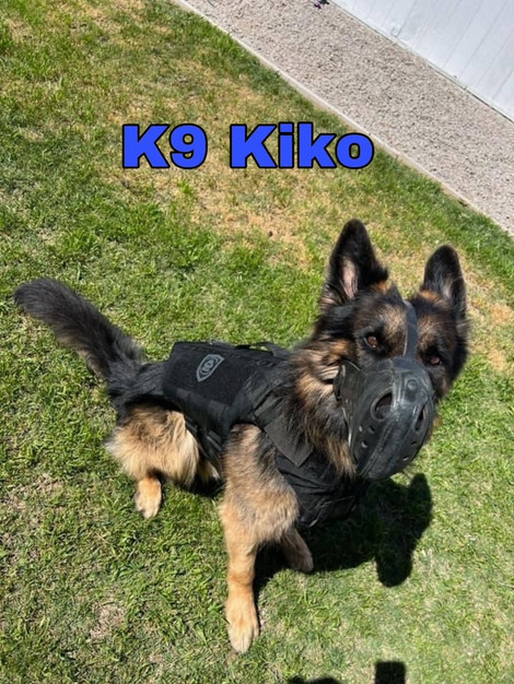 Home | K9 Creed Apparel