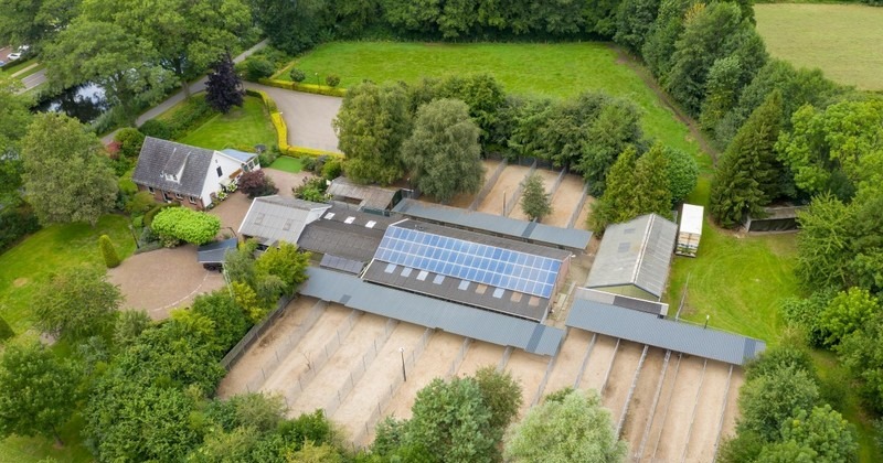 Hondengedragscentrum | Animal's Faith