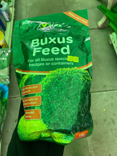 Buxus Feed | Little Lodge GC