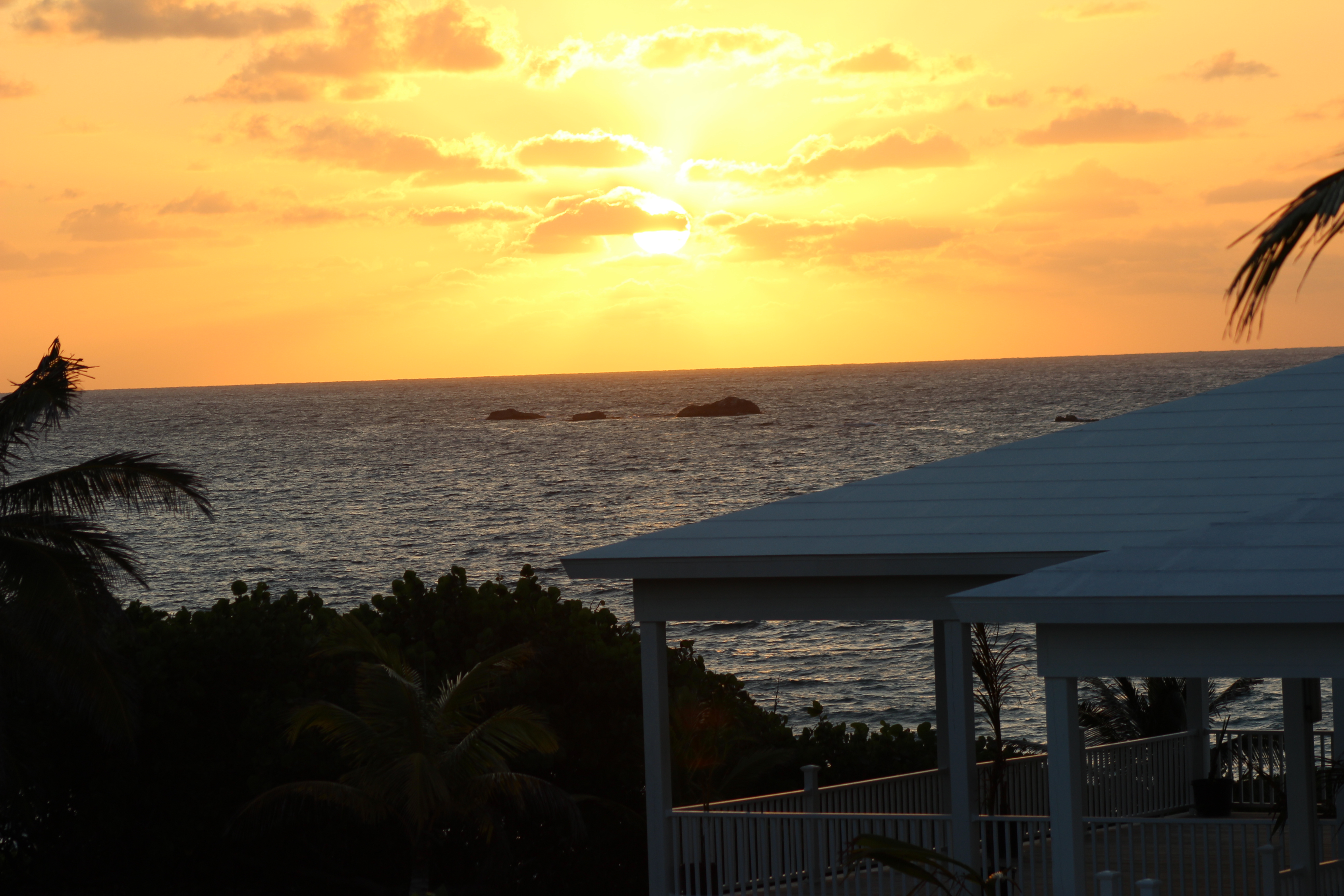 Gallery | thesignethouse