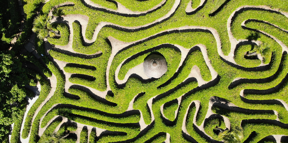 Navigating the mental health maze