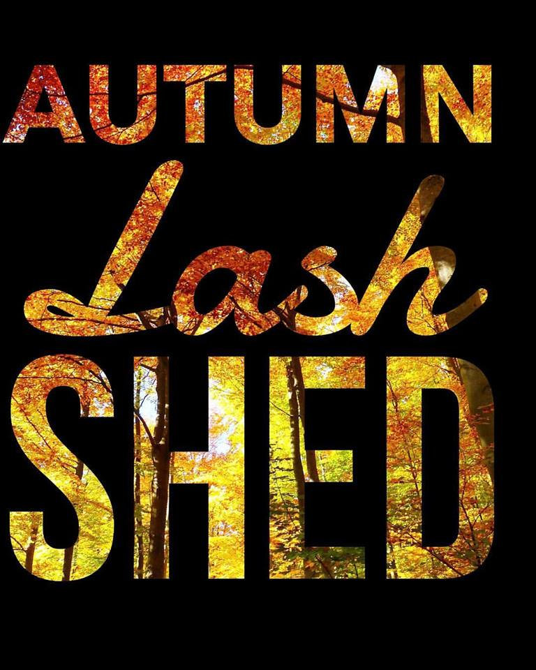 Autumn Lash Shed