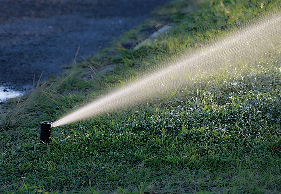 Is an irrigation system right for you? (what you need to know)