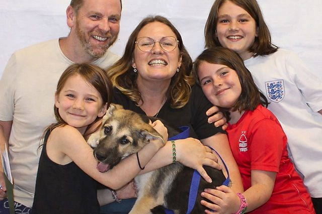 humane society adoption process
