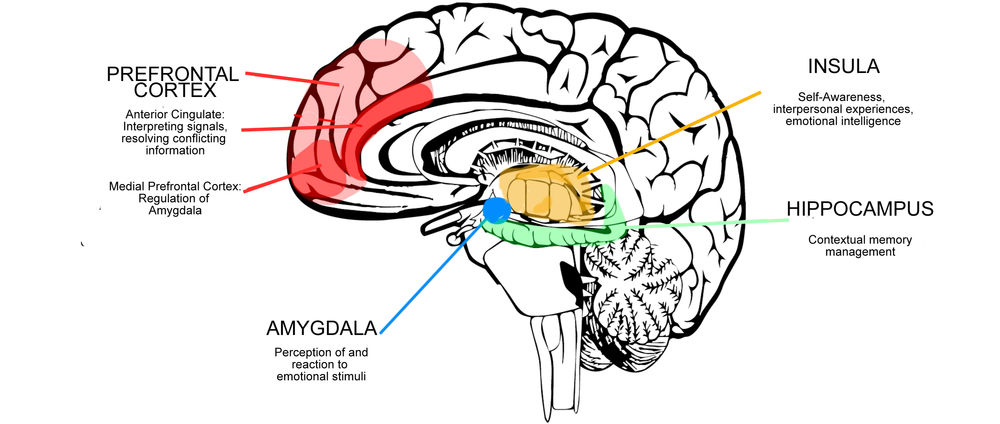 Mindfulness isn't New-Age Nonsense - It's Neuroscience