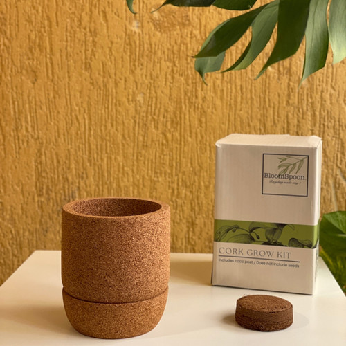Eco-Friendly Cork Grow Kit in Dubai UAE | BloomSpoon