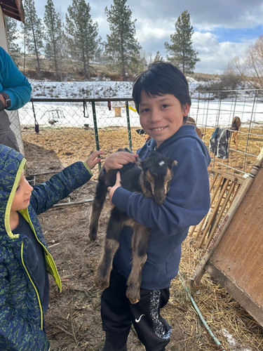 Group Farm Tour | Full Bushel Farm