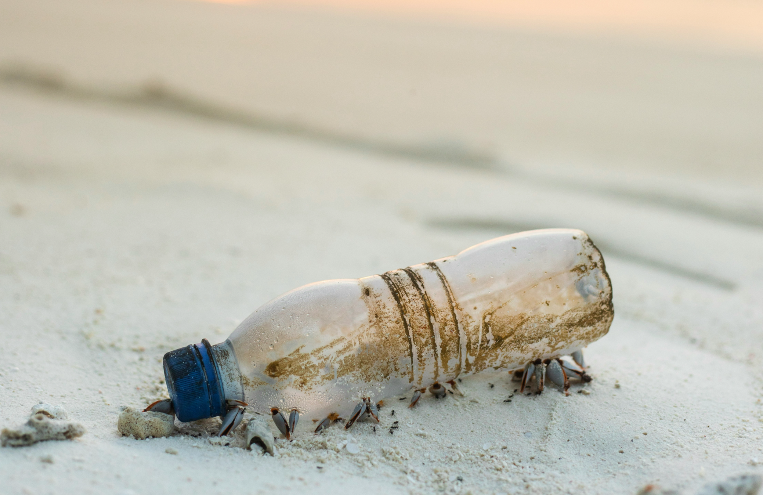 What is a Plastic Footprint? Calculate Yours