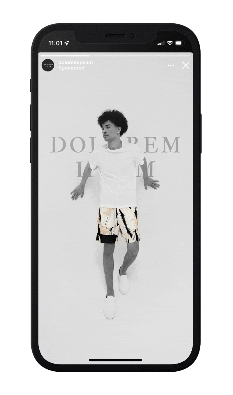 Dozen Dimes | Project - Dolorem Ipsum