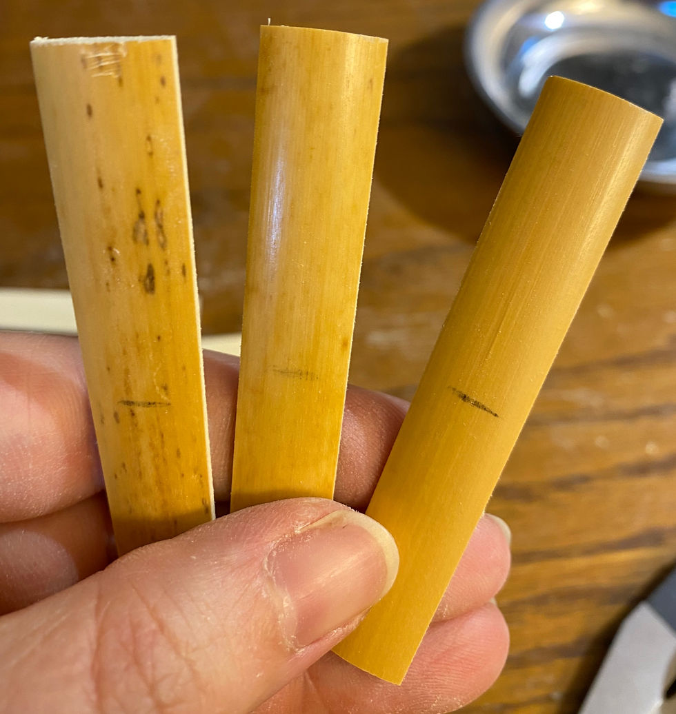 Aurora Winds | Clarinet Reed Blanks