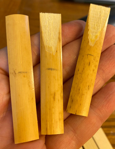 Marion Cane - Density-Selected Clarinet Reed Blanks | Aurora Winds