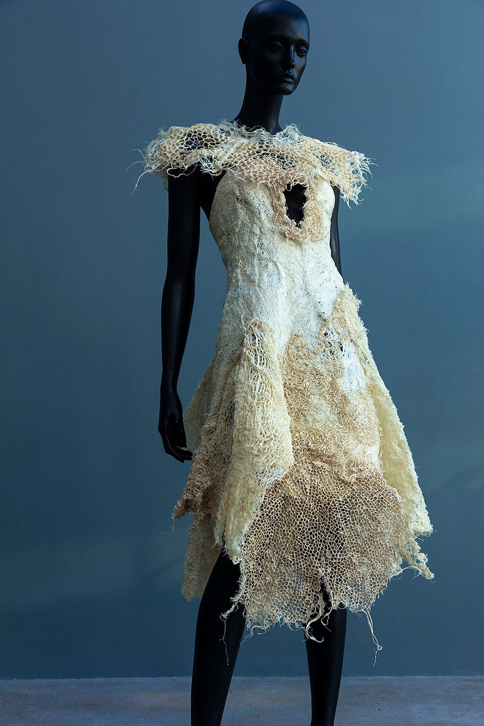 New Plant World | Green Future Club