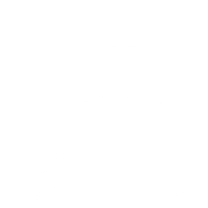 Fluent AAC App for iPad | Learn About it