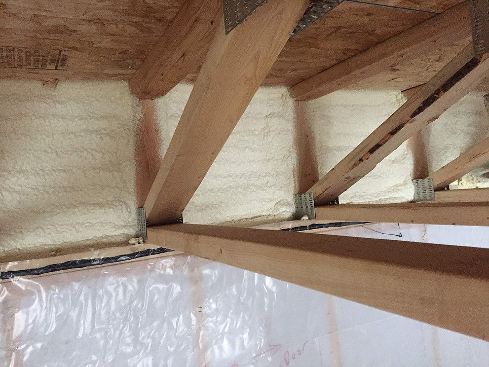 Spray Foam Pest Control - Pest Exclusion