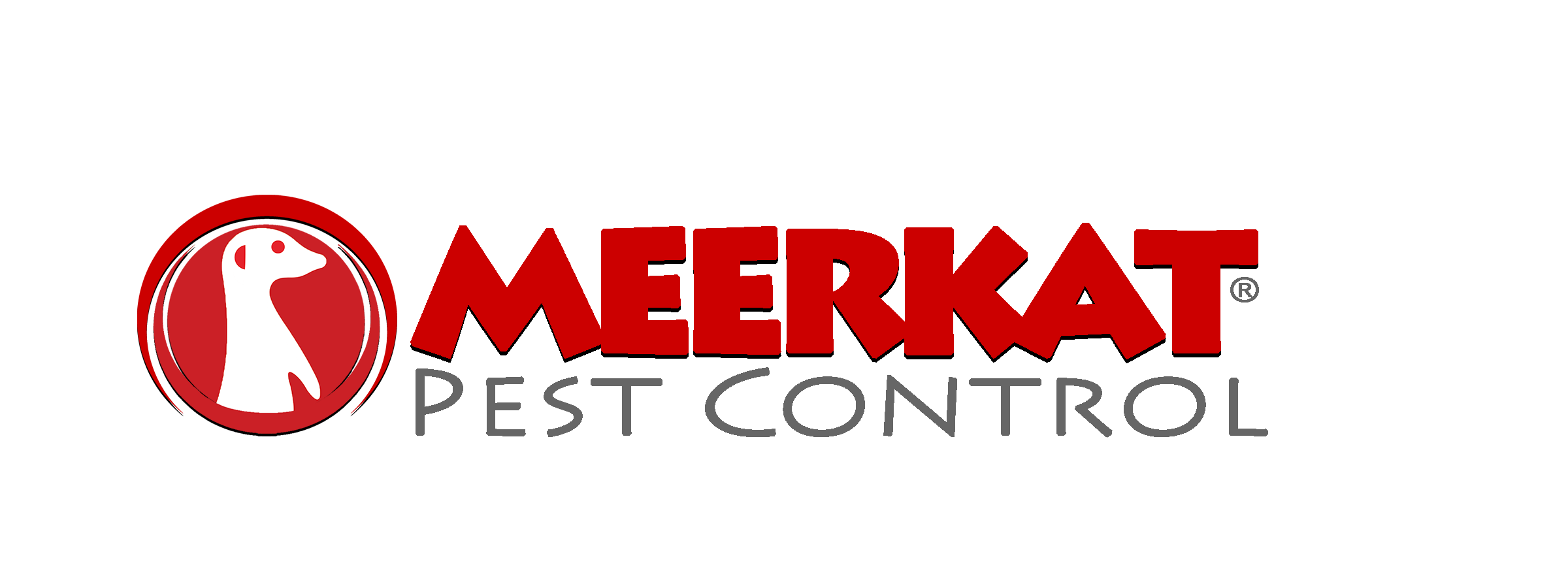 Pest Control Services Humane Pest Control Albany Ny
