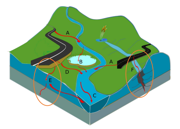 Rolling Out the Road Salt: Protecting Our Safety & Environment