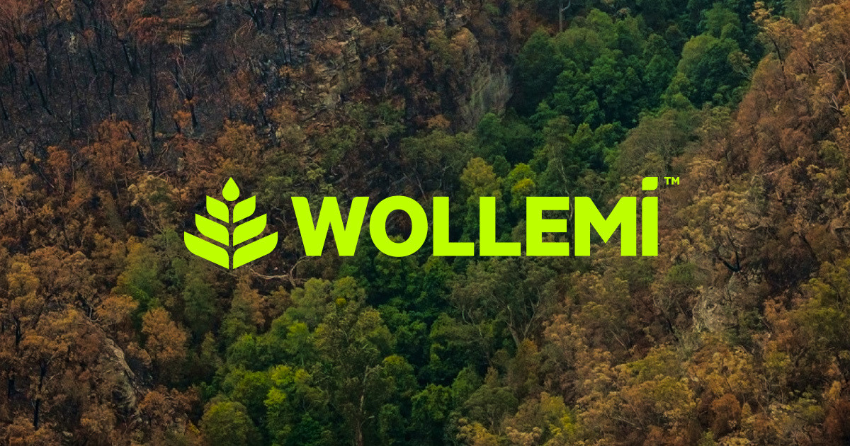 Climate Specialist | Wollemi Capital | Australia