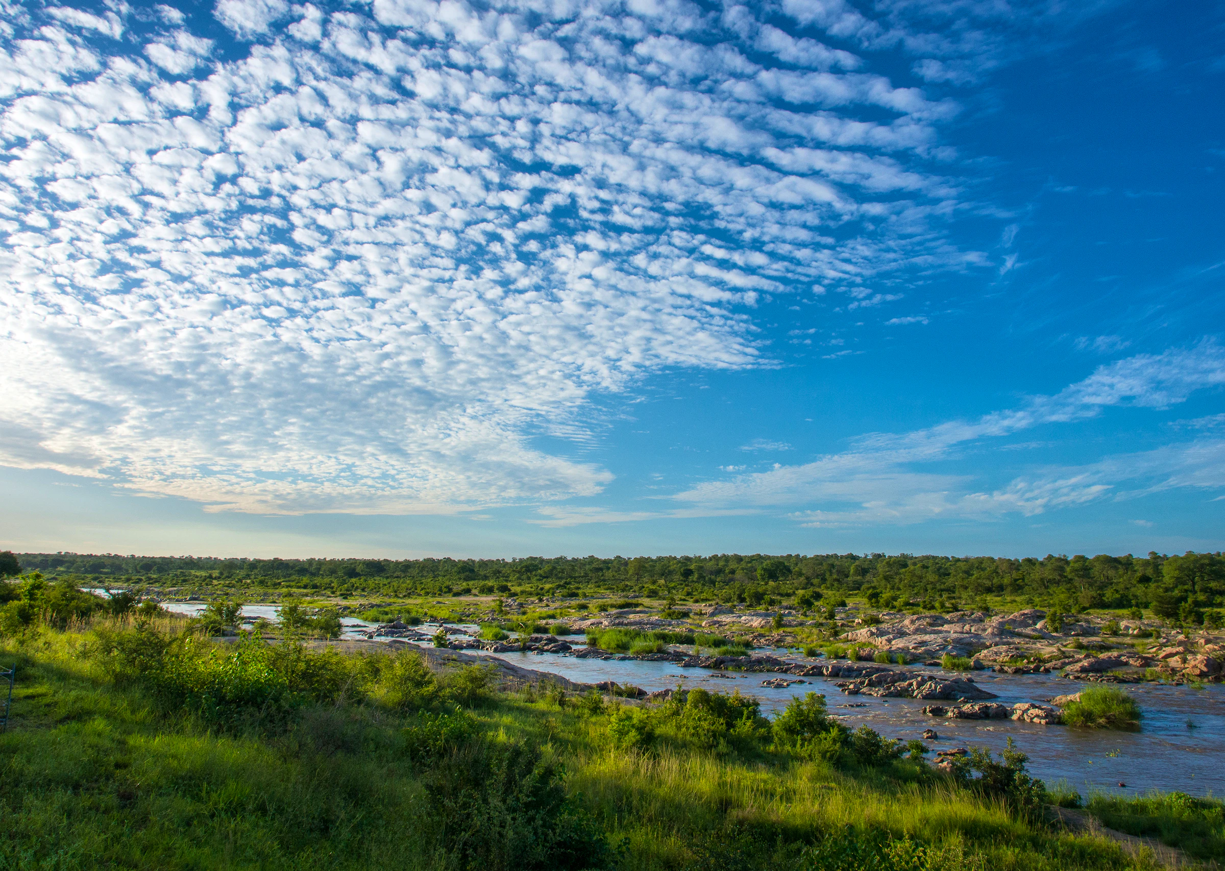 KRUGER NATIONAL PARK 10 | Travel Diaries RSA
