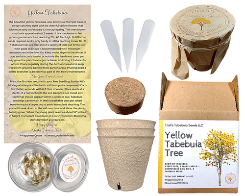 10 Tabebuia Seeds | Trish'sTabebuiaSeeds