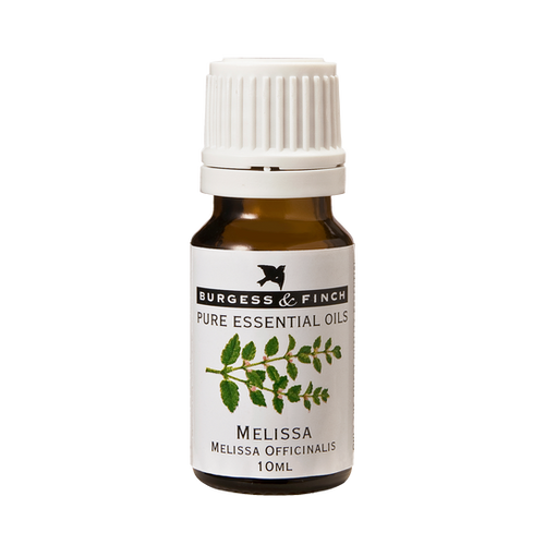 Melissa Oil | Burgess & Finch