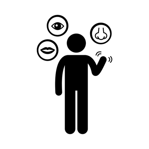 An introduction to sensory processing | Autability