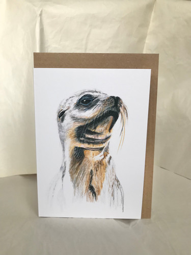 Greeting Card Sally The Seal | Philippa Westaway