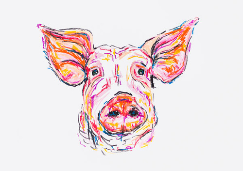 Peter The Pig | Philippa Westaway