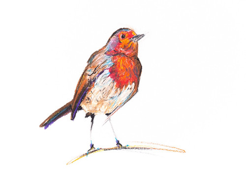 Rupert The Robin | Philippa Westaway