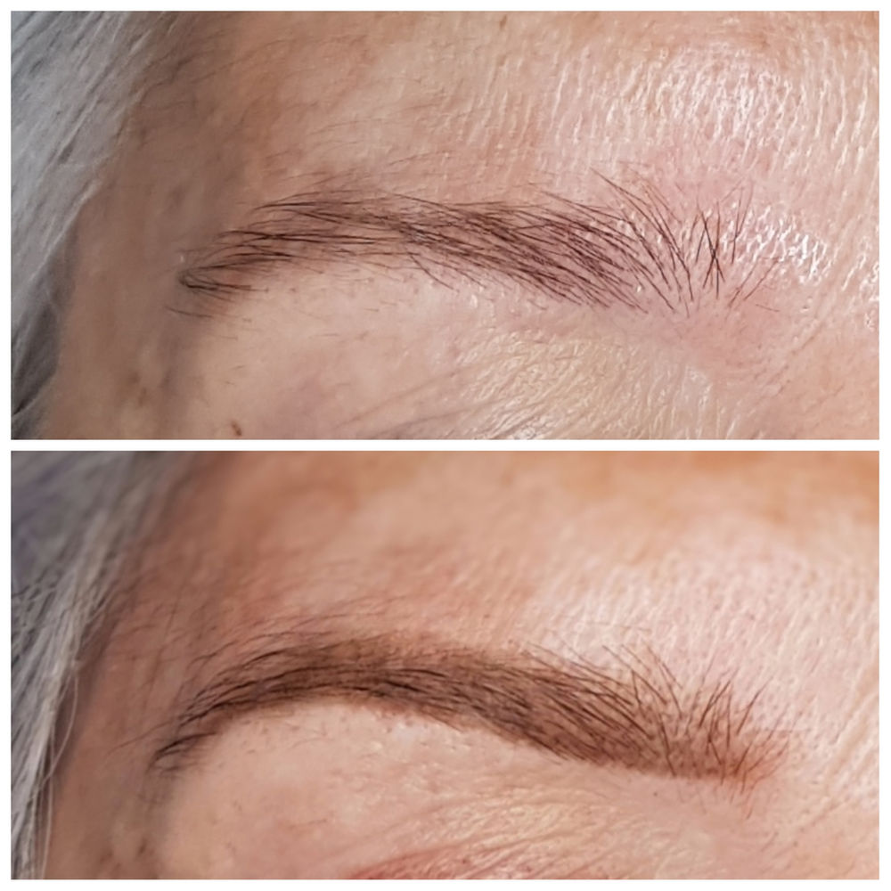 Powder Brows Vs Microblading