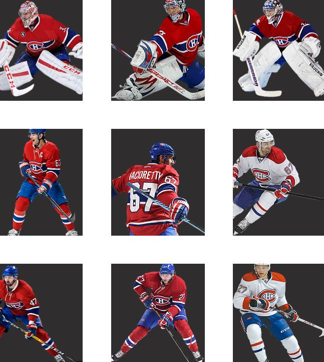 Puck Marks - Hundreds of your favourite NHL Player PNG's!