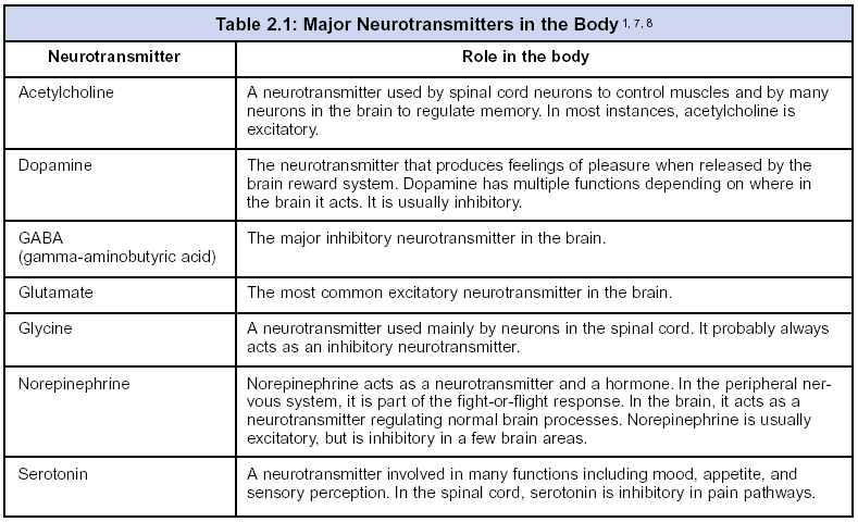 Neurotransmitters Chart