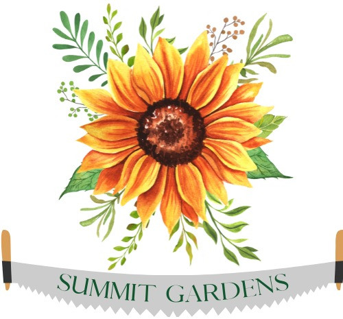 Meet The Team | Summit Gardens