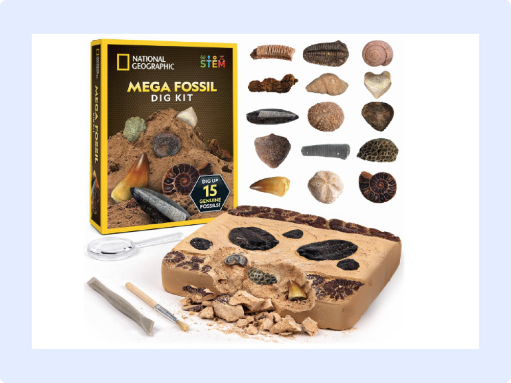 Fossil Dig Kit