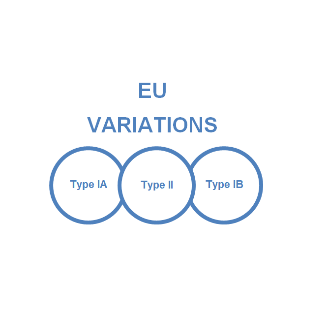 Variations to marketing authorisations in the EU