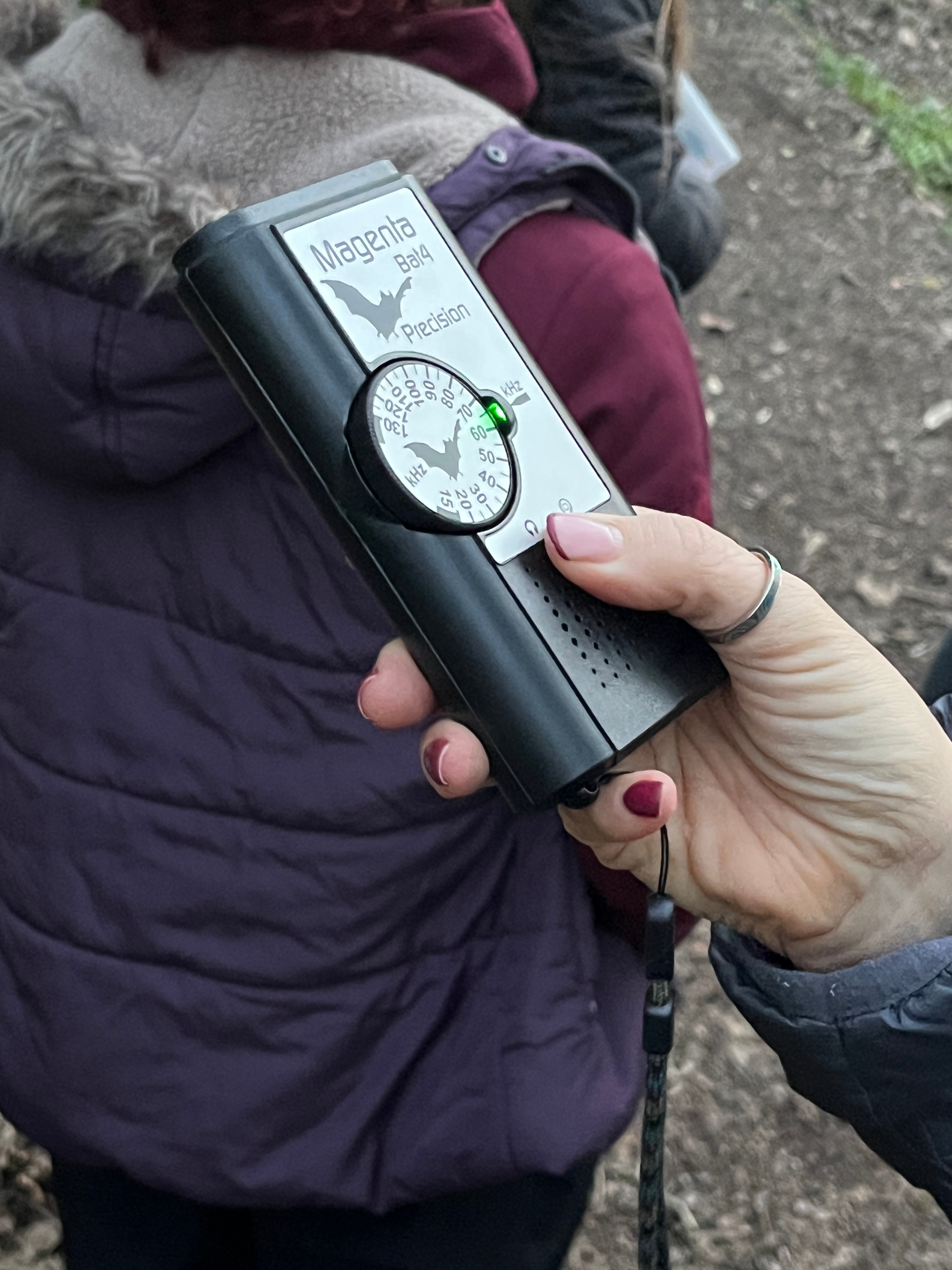 Bat Walk - Eaglesbush Valley | NPT LNP