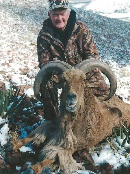 Fully Guided Trophy Aoudad Hunt | DSC New Mexico
