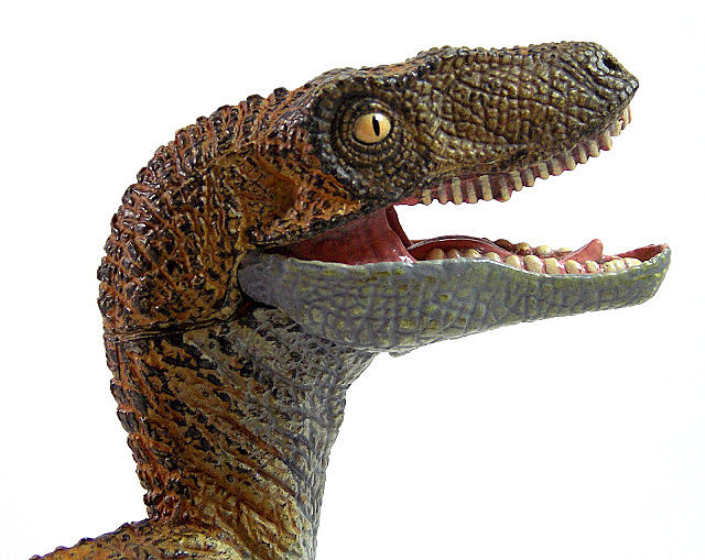 VELOCIRAPTOR (BROWN) | dinosaurs