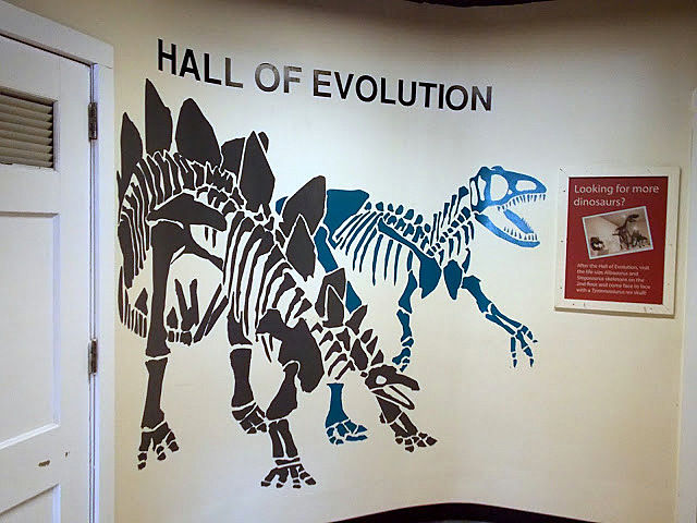 MSU MUSEUM OF NATURAL HISTORY | dinosaurs