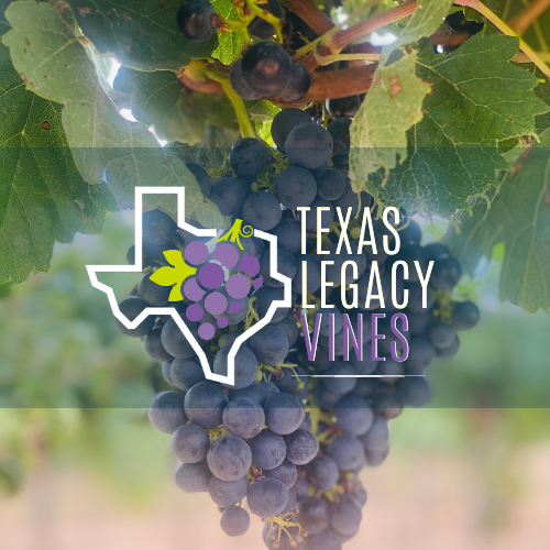 About | Texas Legacy Vines